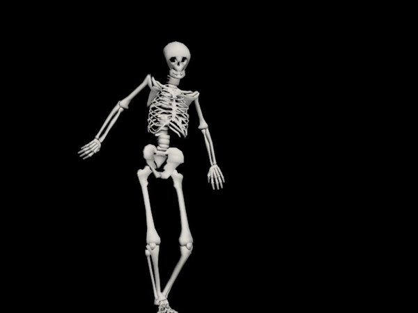 Animated Human Skeleton 3D Models for Download | TurboSquid