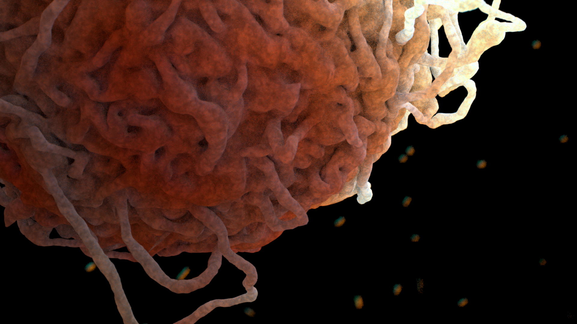 cell macrophage 3d obj
