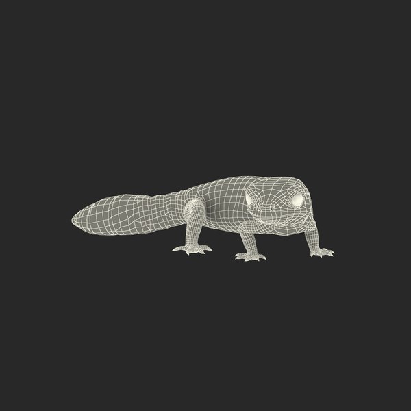 3d leopard gecko pose 4 model