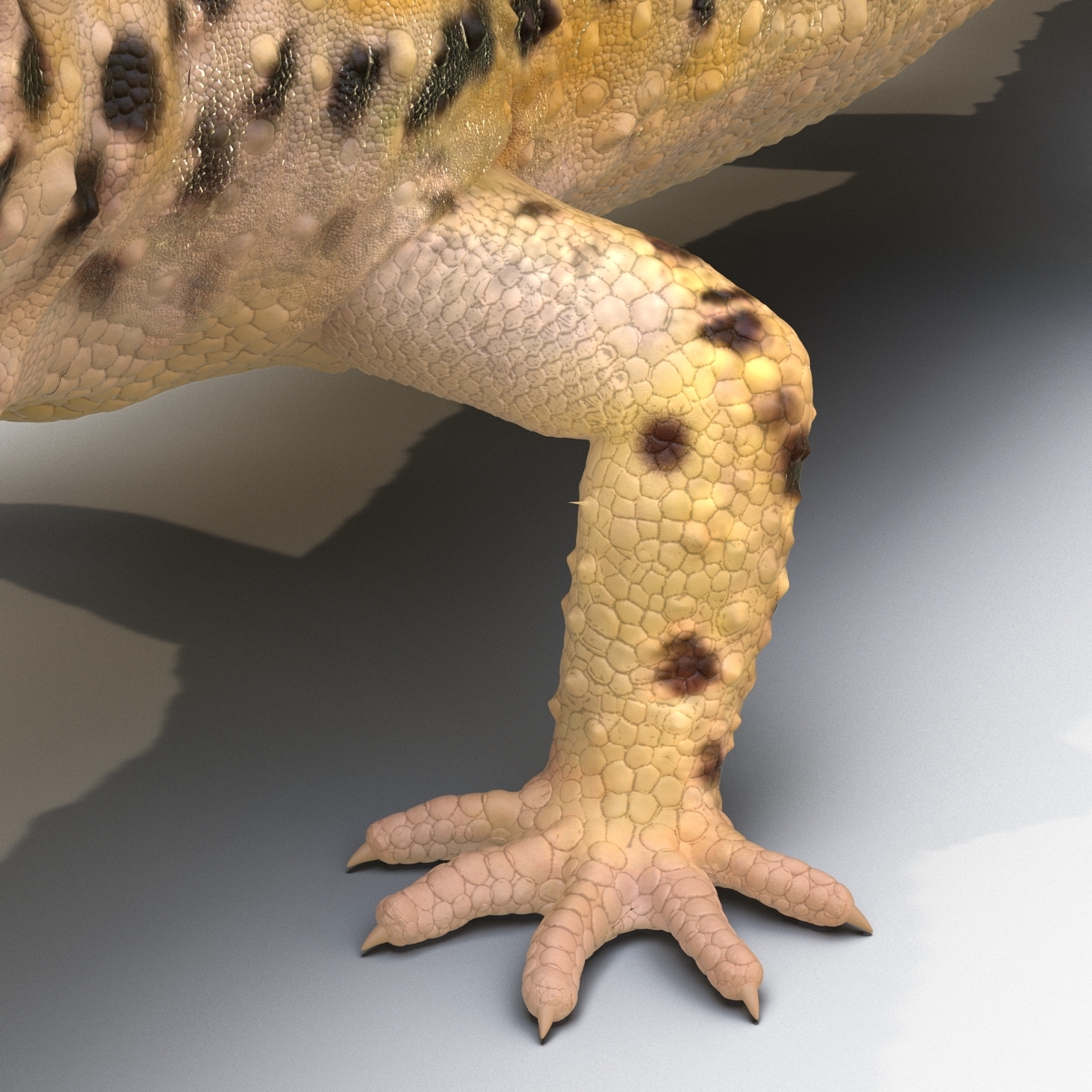 leopard gecko 3d model