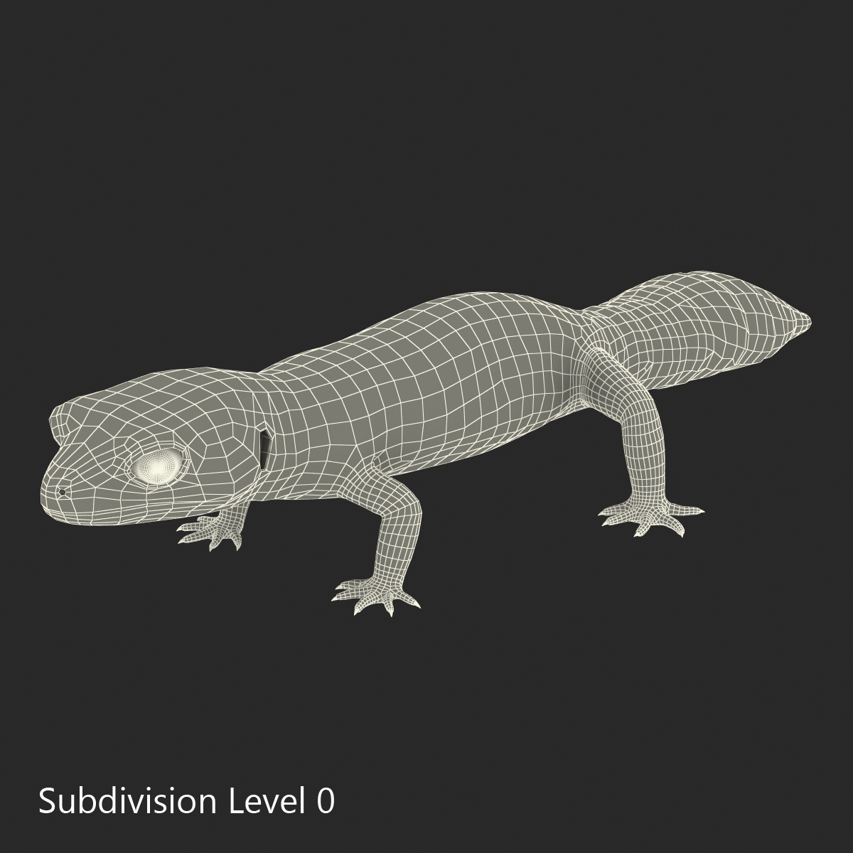 leopard gecko 3d model