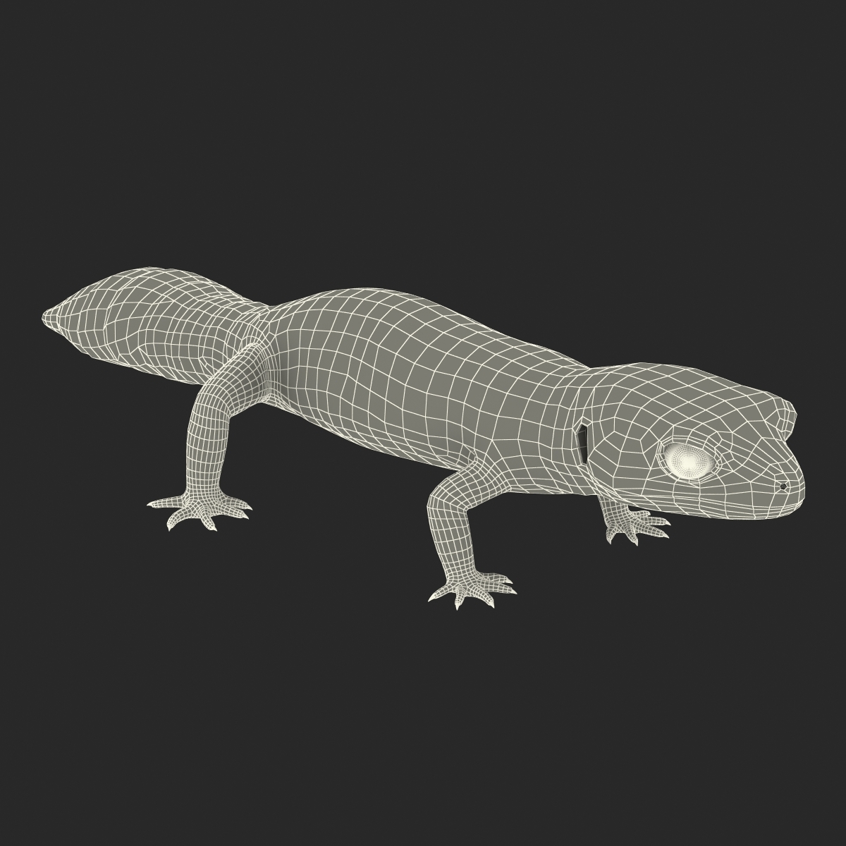 leopard gecko 3d model
