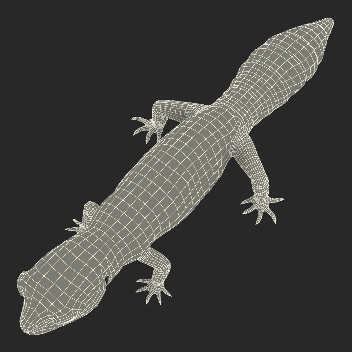 leopard gecko 3d model