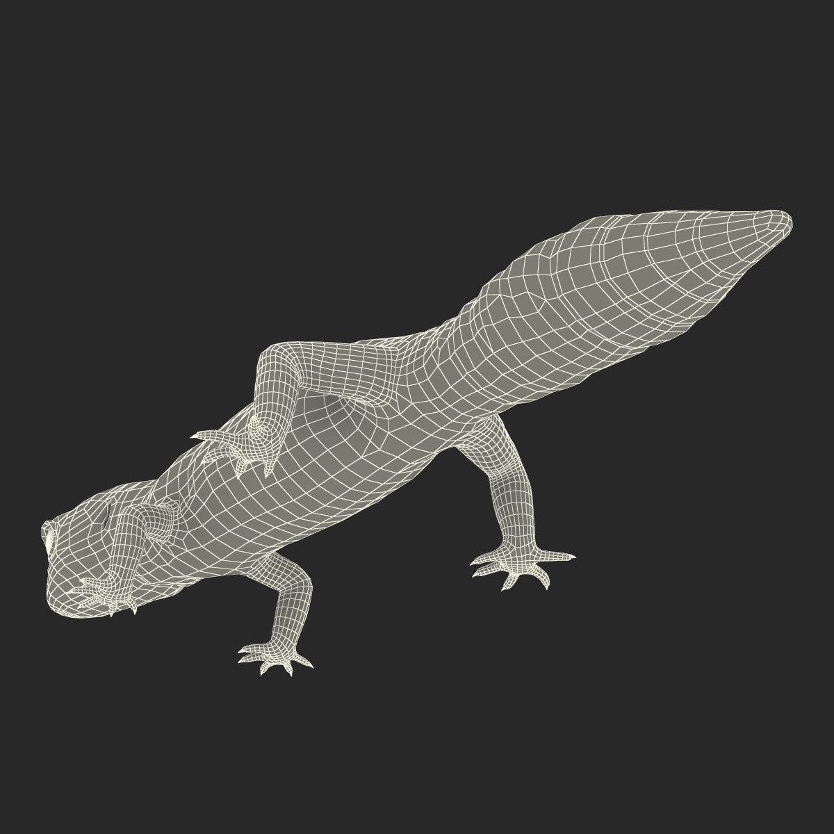 leopard gecko 3d model