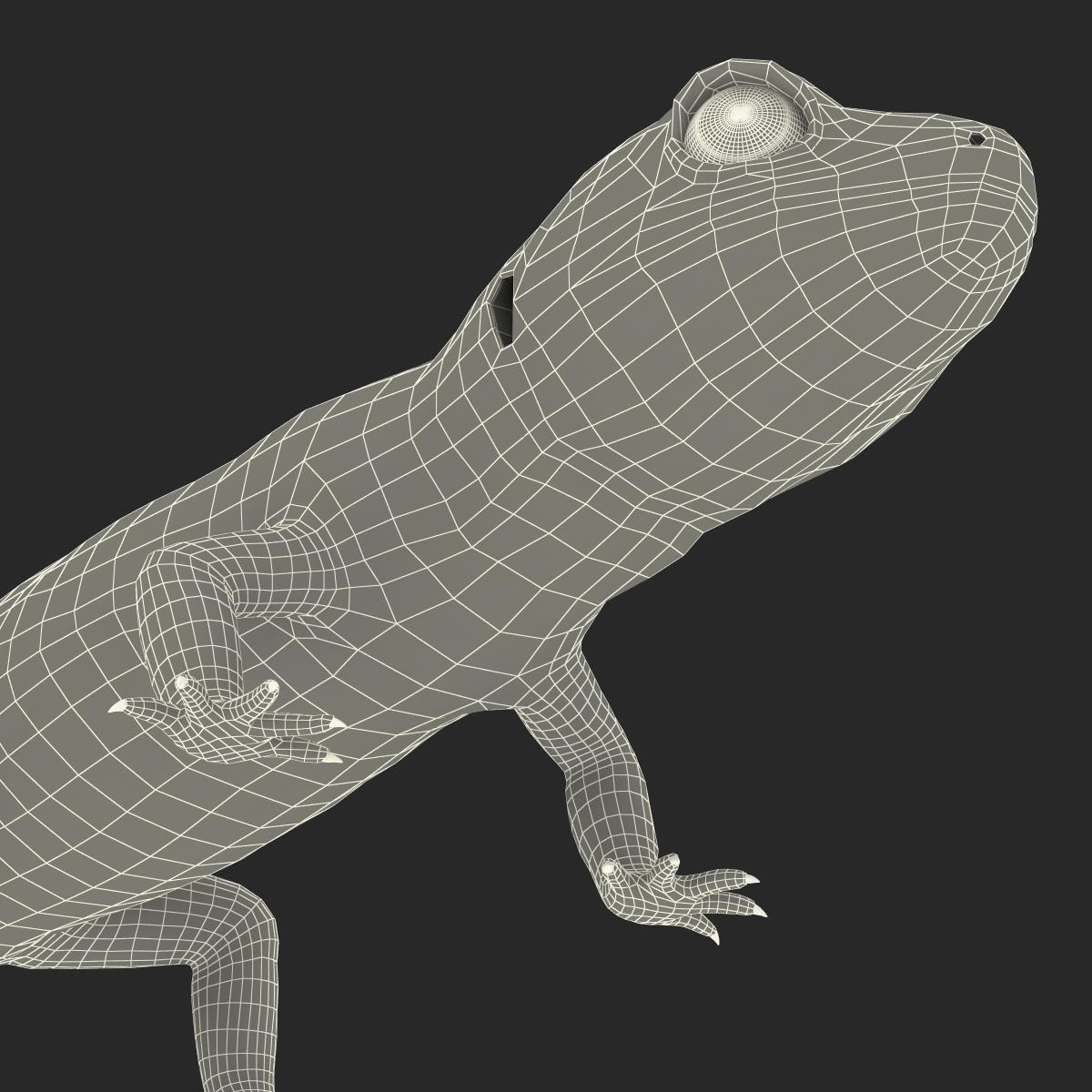 leopard gecko 3d model