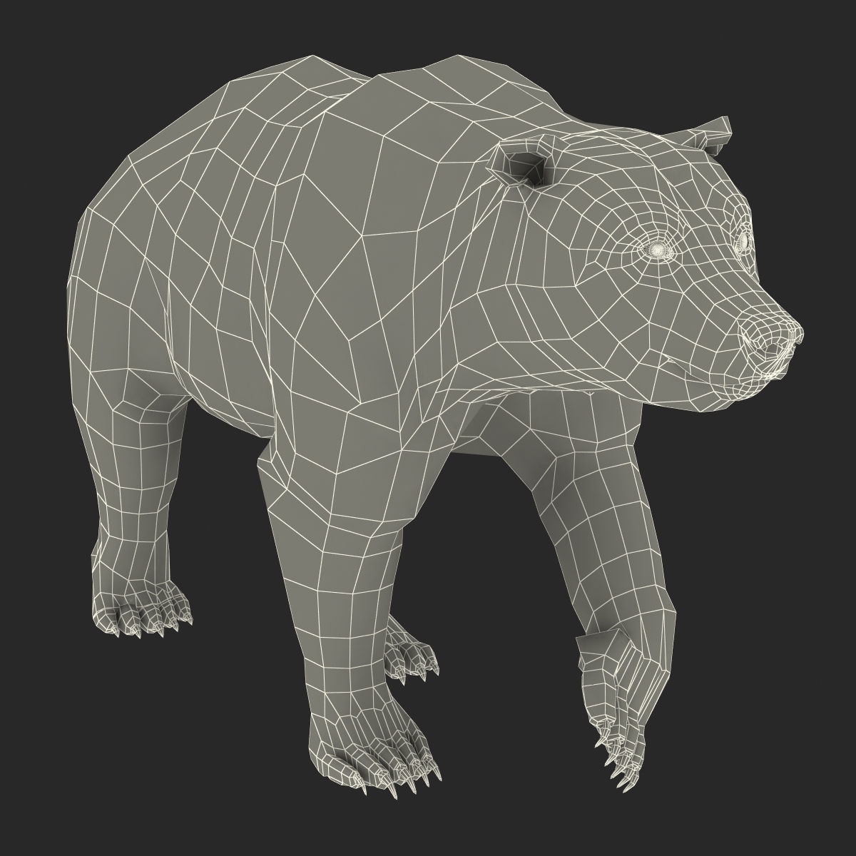 brown bear fur pose 3d model