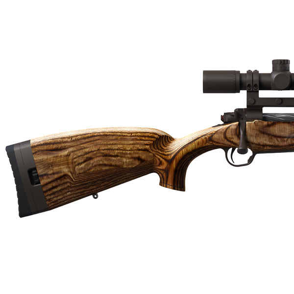 hunter rifle hunting max