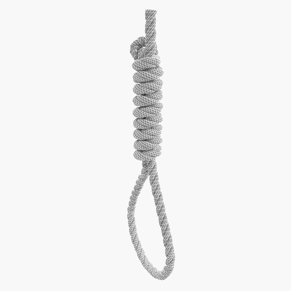 3d noose