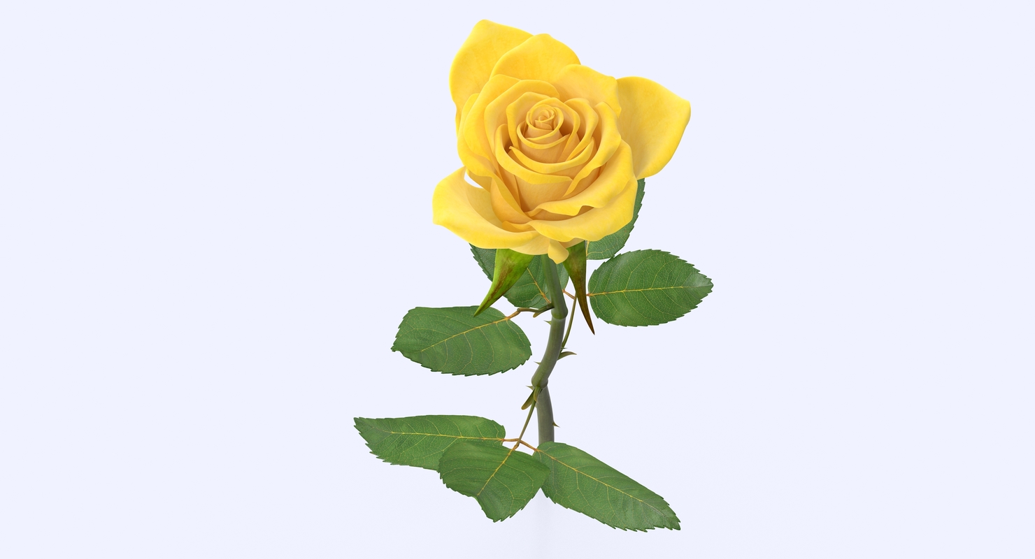 rose modeled 3d max