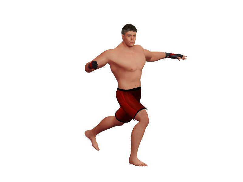 x fighter mma animations