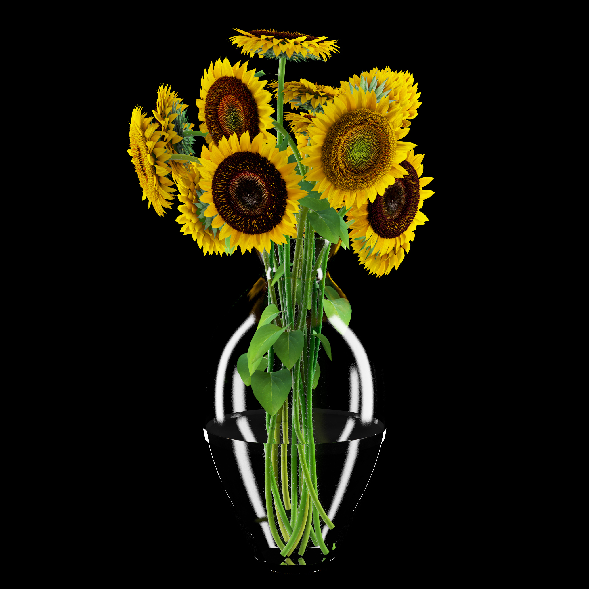 3d sunflower flower
