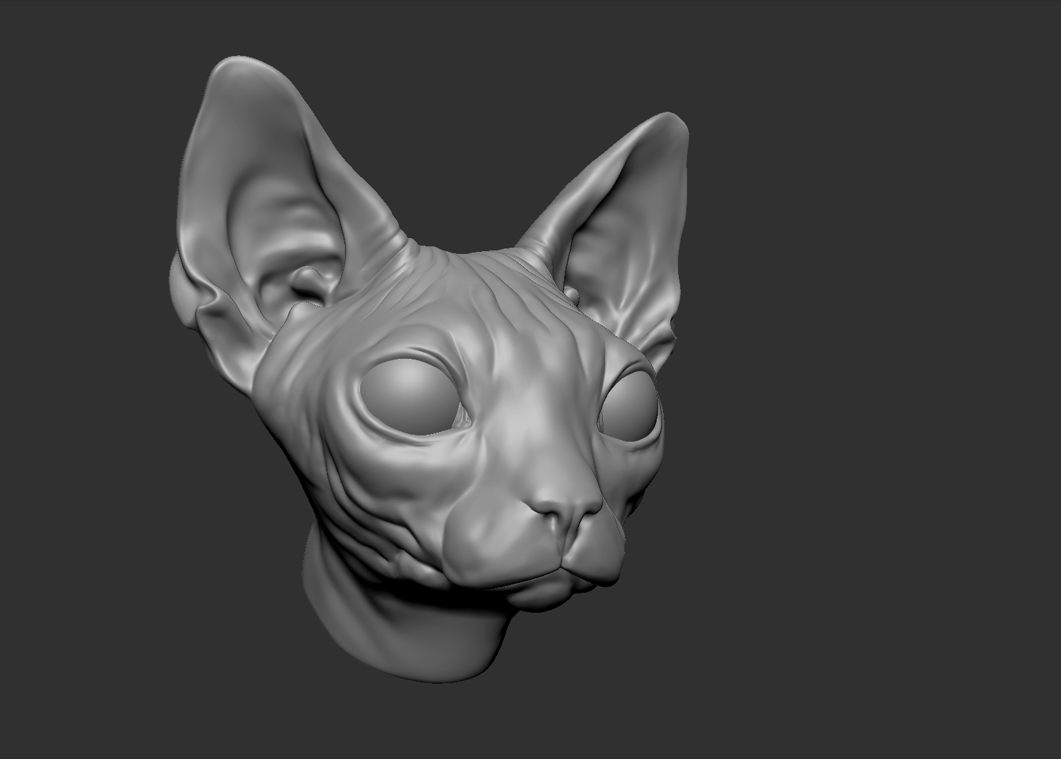 3d model sphynx cat