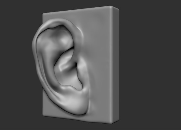 Ear 3D Models for Download | TurboSquid
