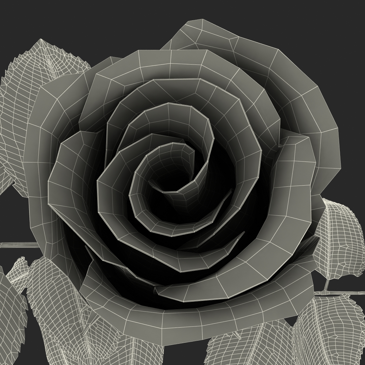 rose 2 3d model