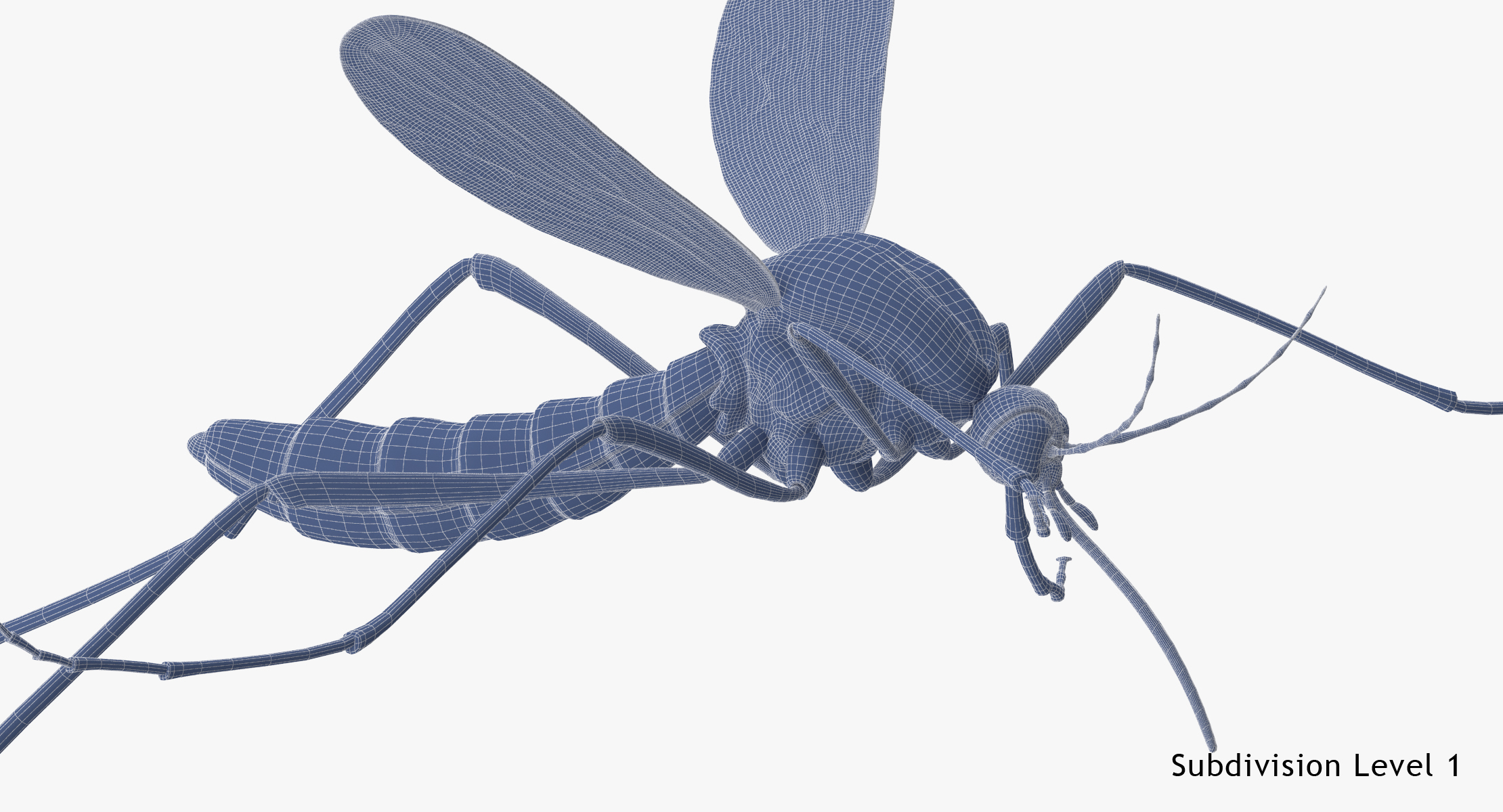 3d mosquito 3 poses