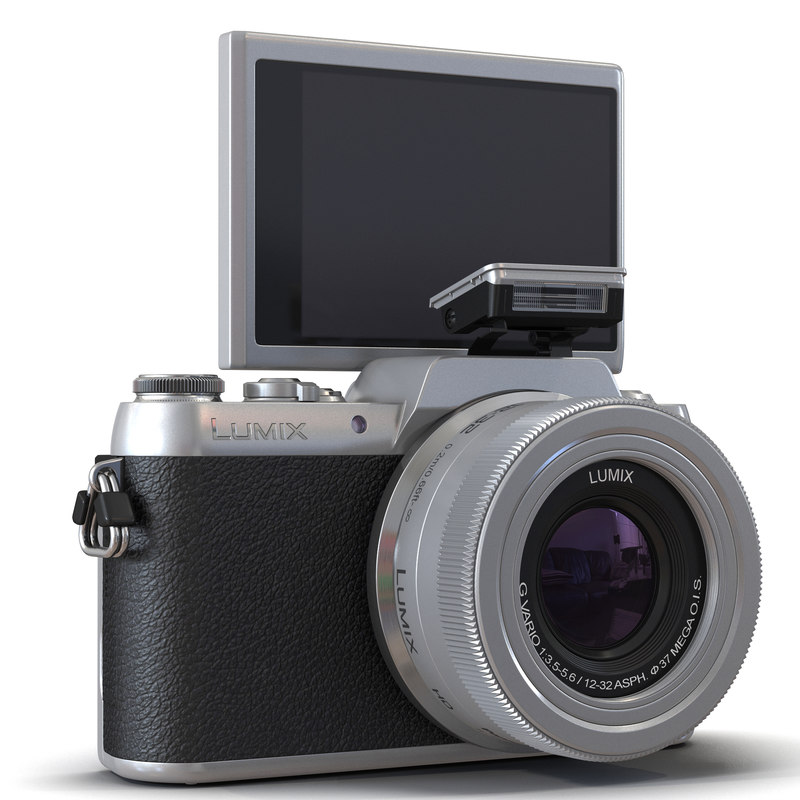 panasonic dmc gf7 rigged max