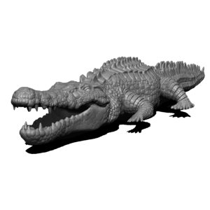 Crocodile 3D Models for Download | TurboSquid