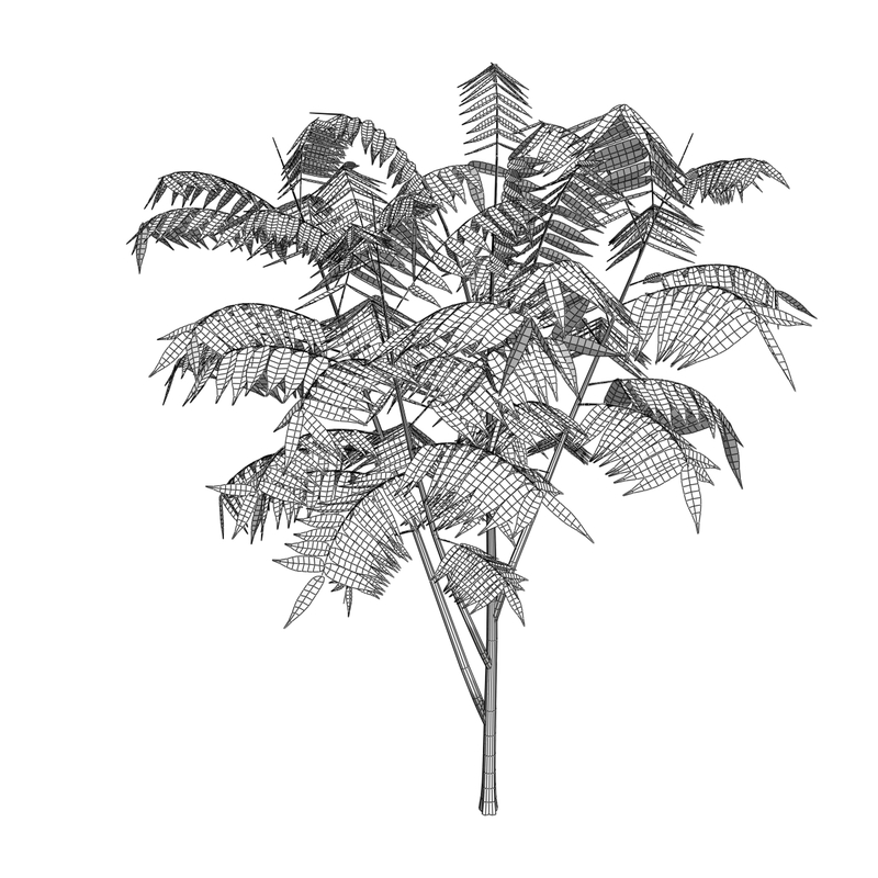 3d obj sumac tree