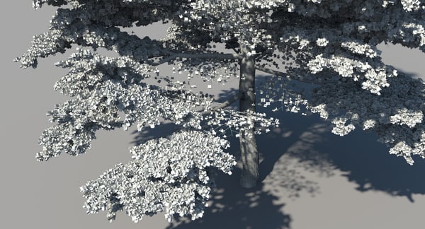 3d scan pine tree