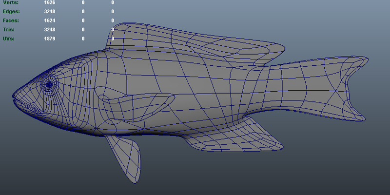 mexican hogfish 3d x