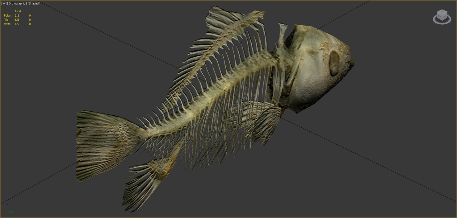 fish skeleton 3d model