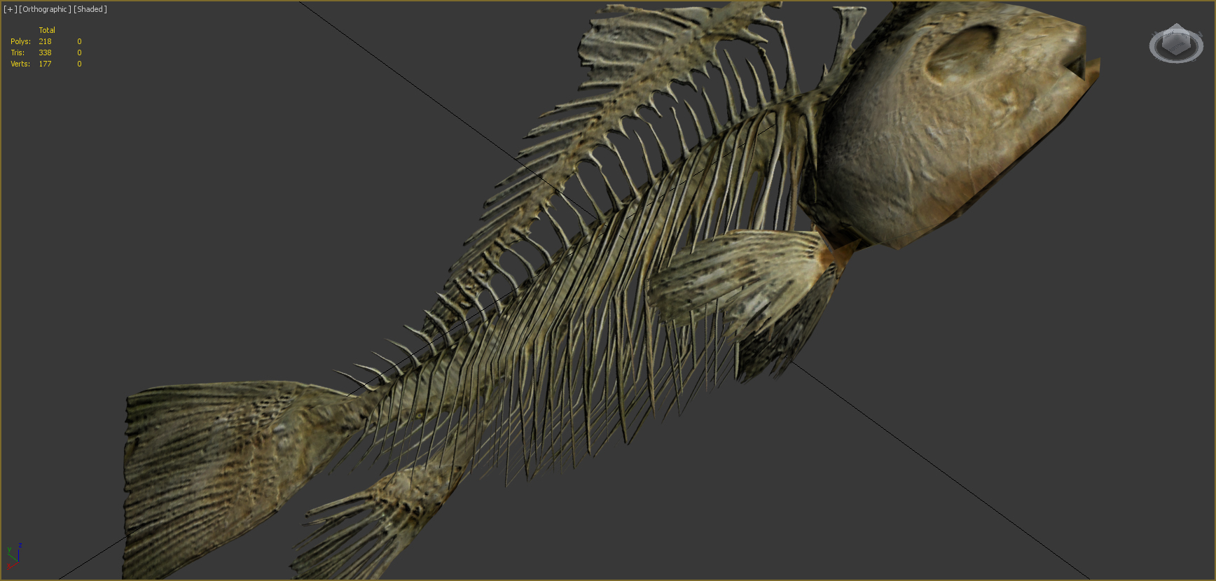 fish skeleton 3d model