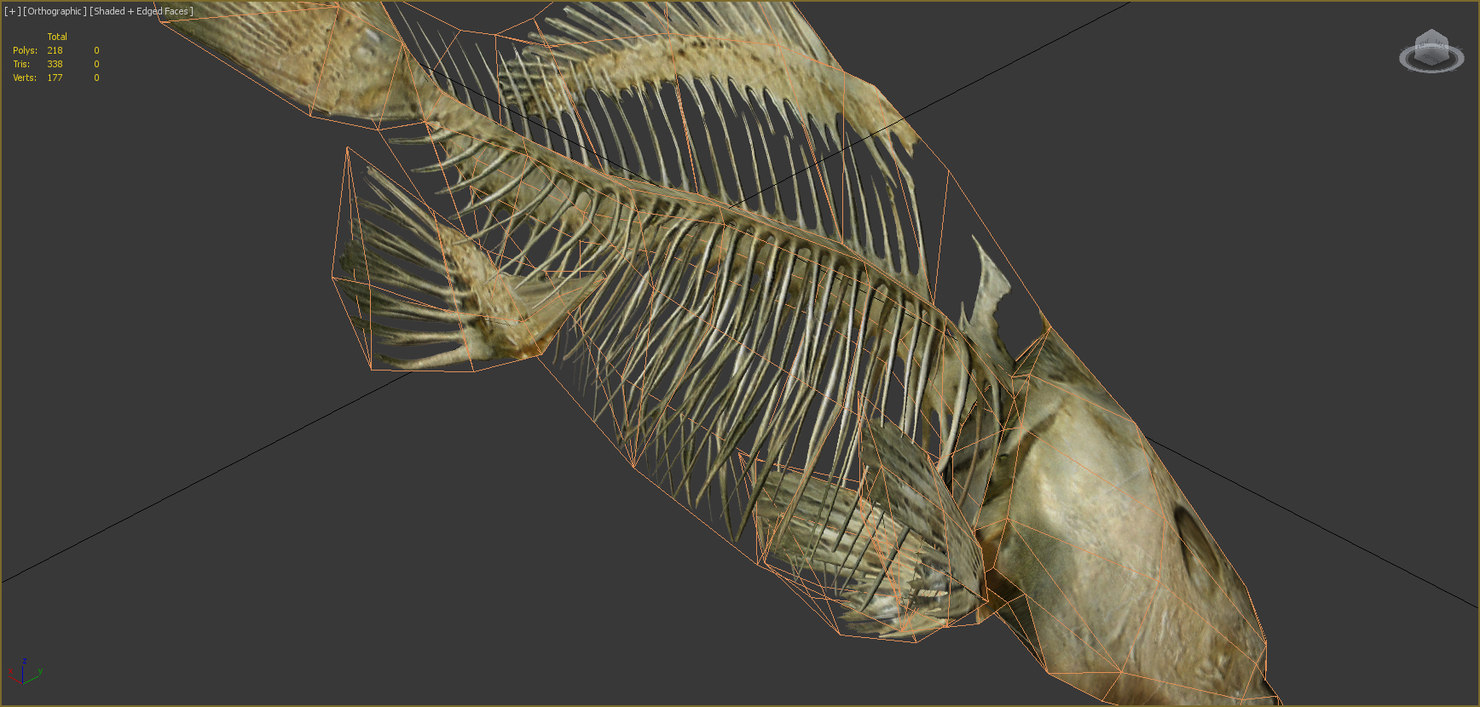 fish skeleton 3d model