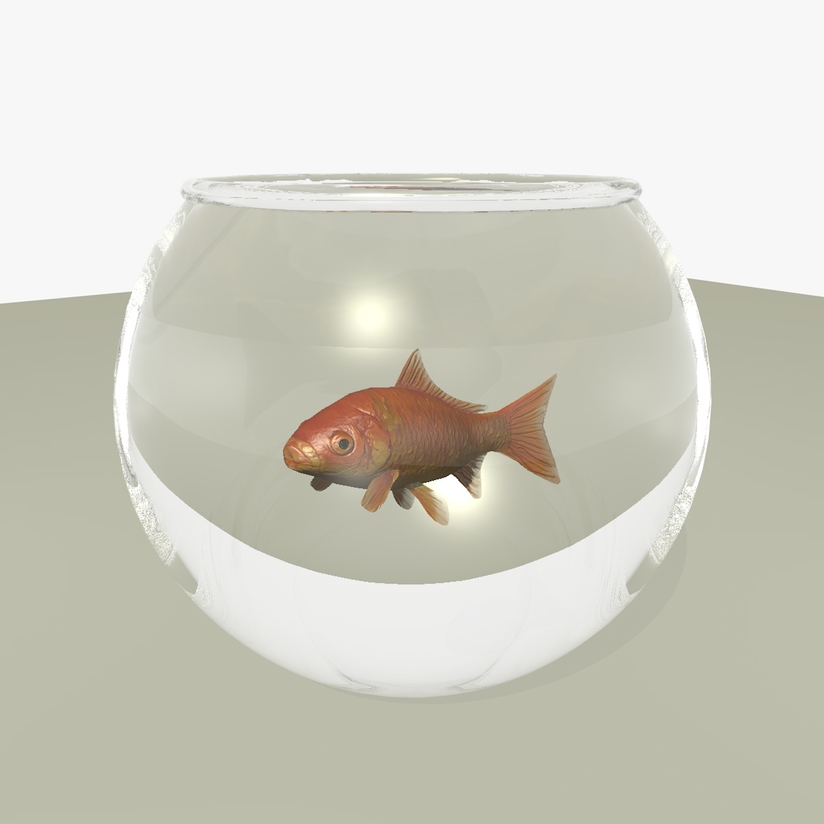 common goldfish fish bowl 3d c4d