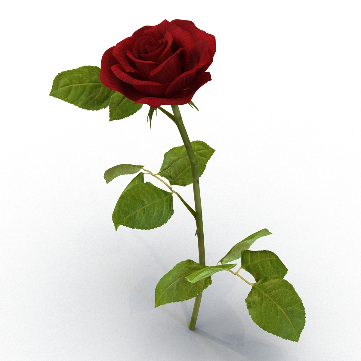 3d model rose 3