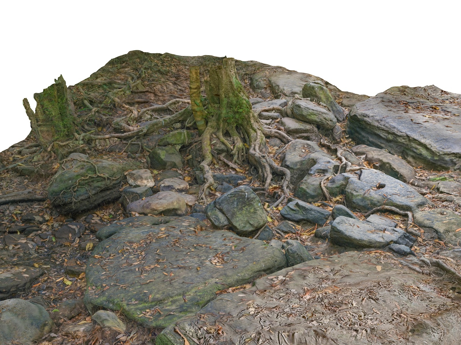 jungle rock ground 16k 3d max