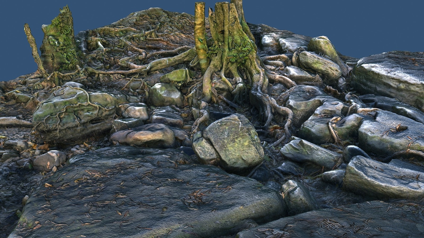 jungle rock ground 16k 3d max