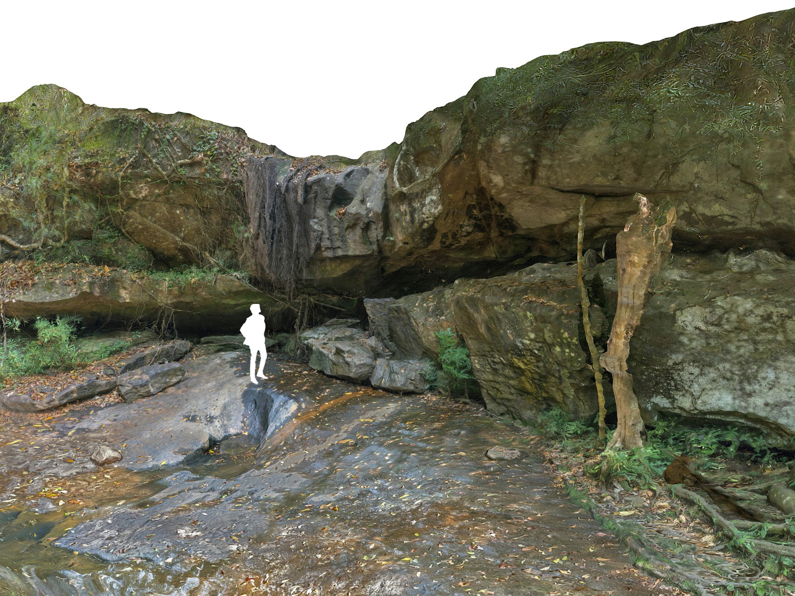 jungle rock pack 12 obj