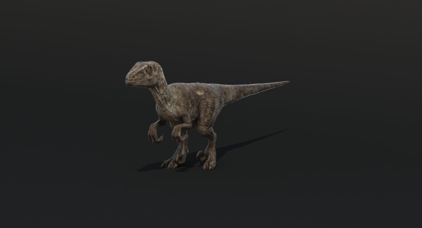 realistic velociraptor raptor animation max