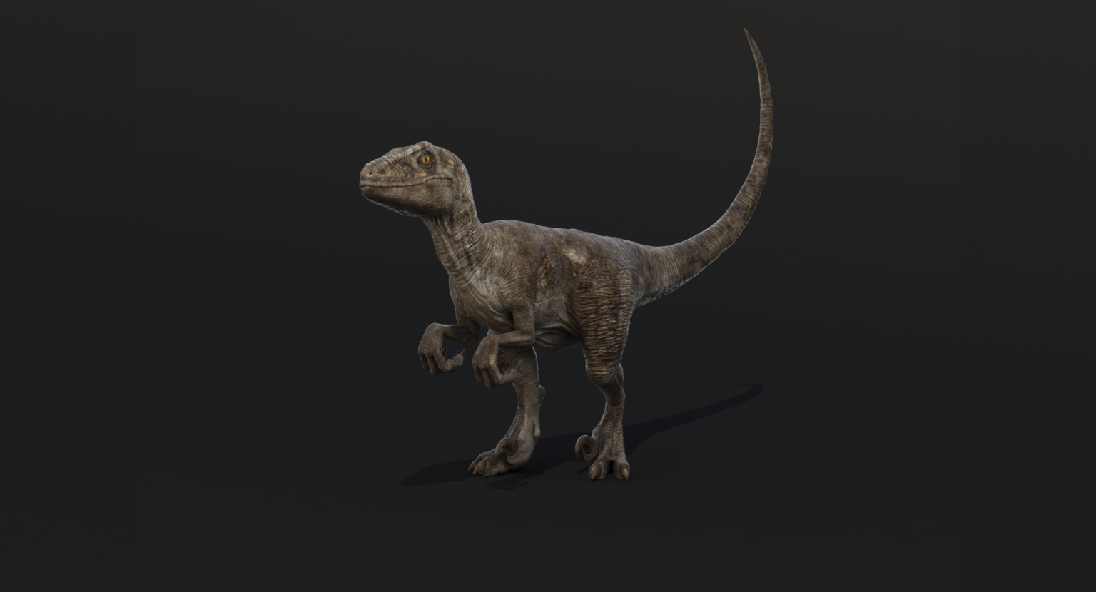 realistic velociraptor raptor animation max