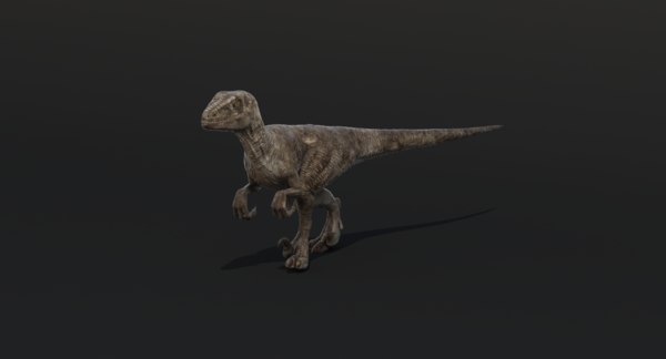 realistic velociraptor raptor animation max