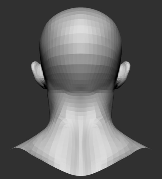 male head base mesh obj