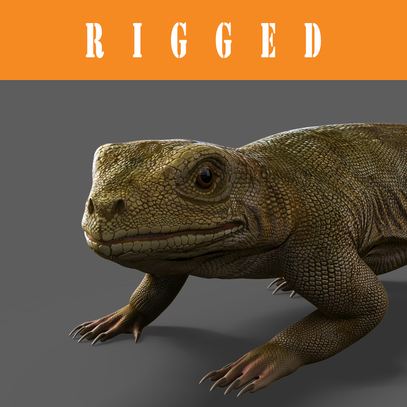 3d lizard rigged model