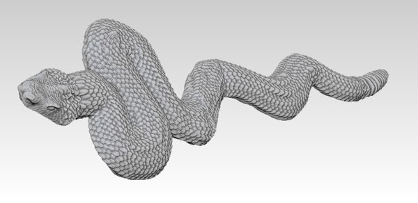 anacondas snakes 3d model