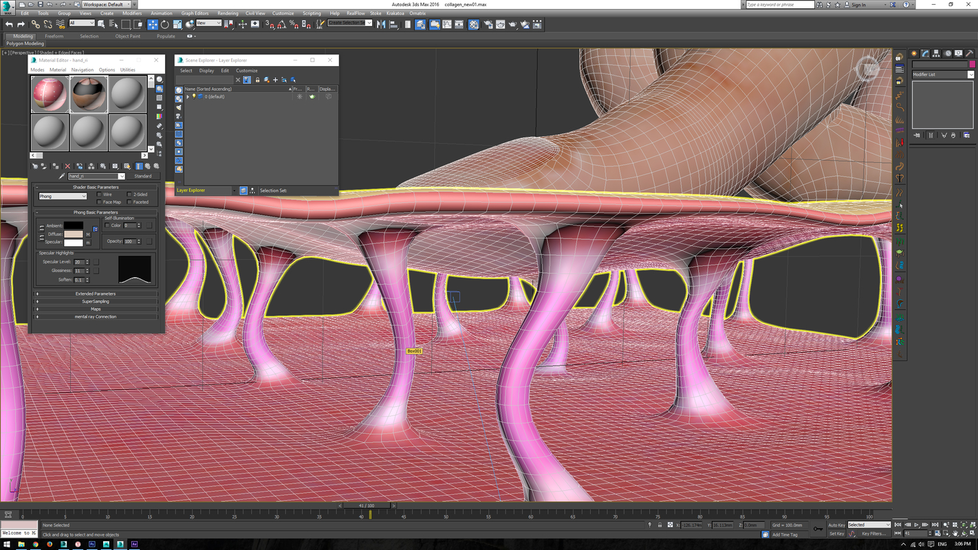 3d collagen skin animation