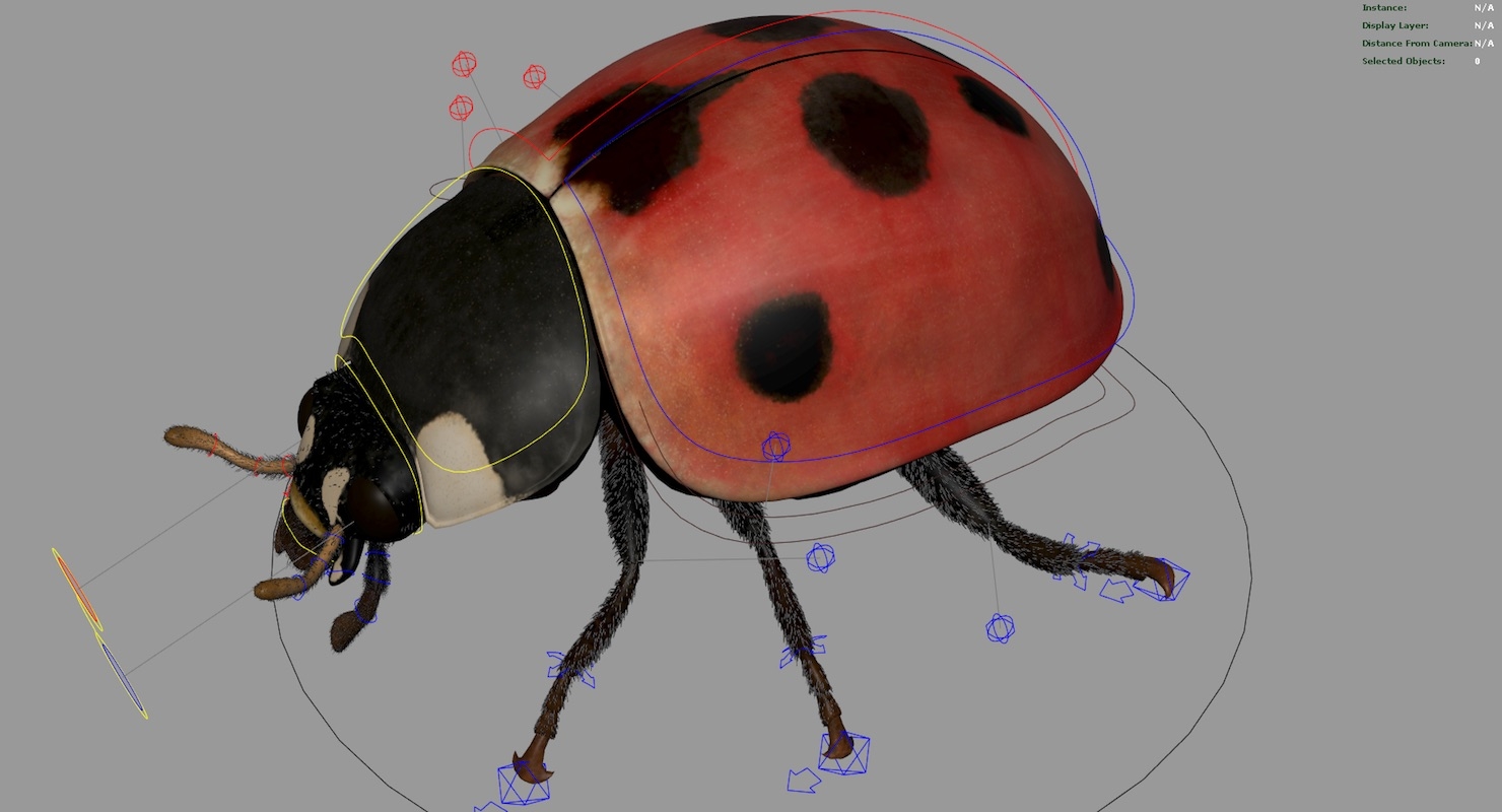 3d rigged ladybug model