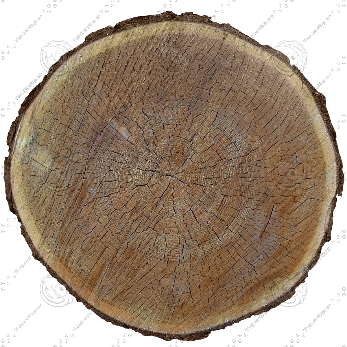 Texture Targa Wood end texture