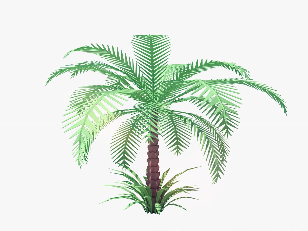 3d palm tree