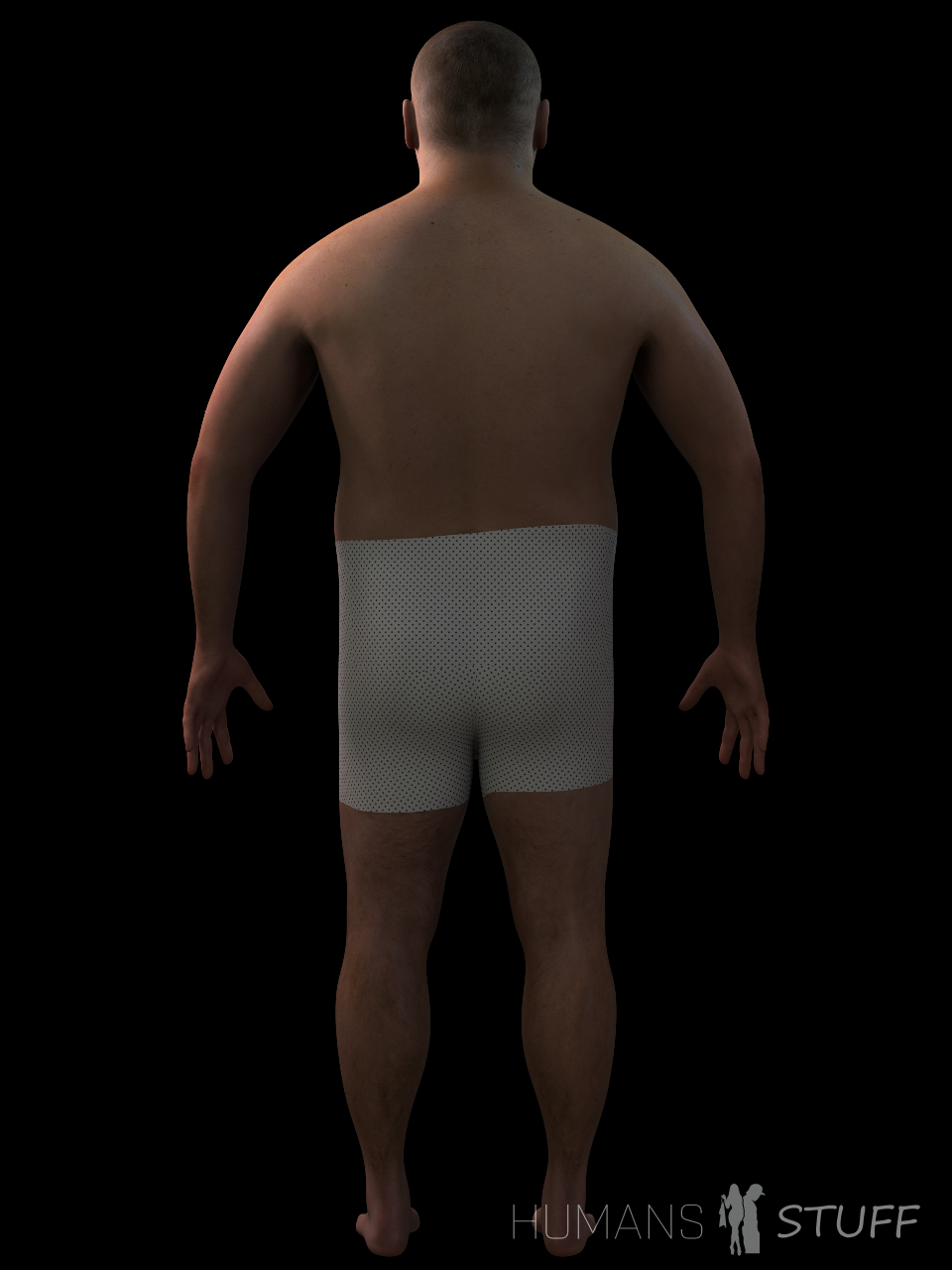 modelo 3d Serge Body - TurboSquid 1033944