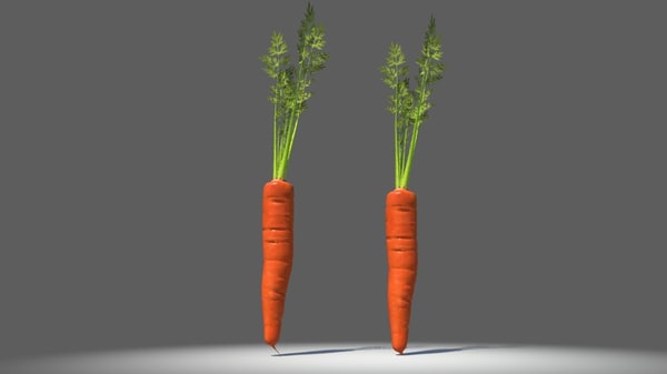 Carrot 3D Models for Download | TurboSquid