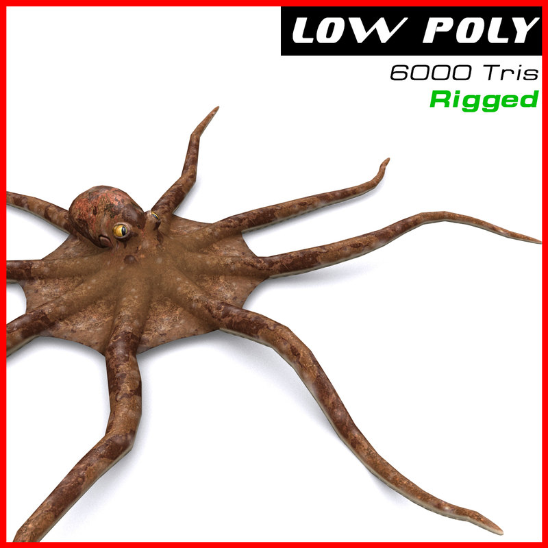 octopus ready games max