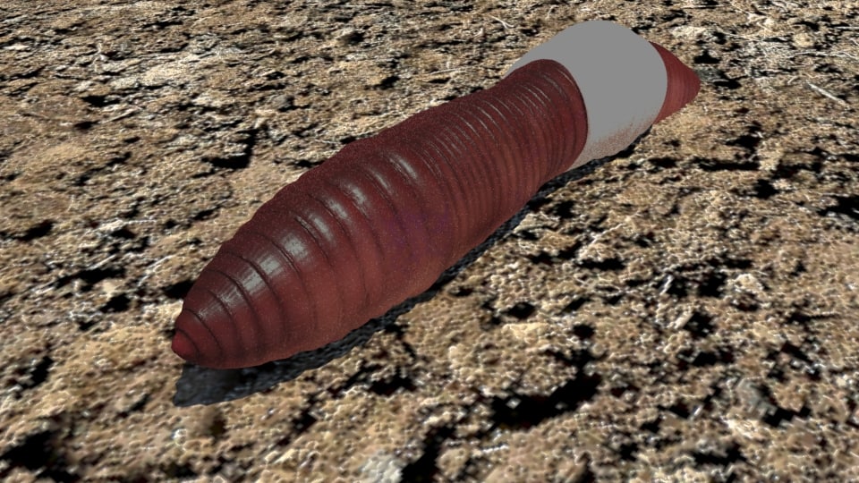 3d worm model