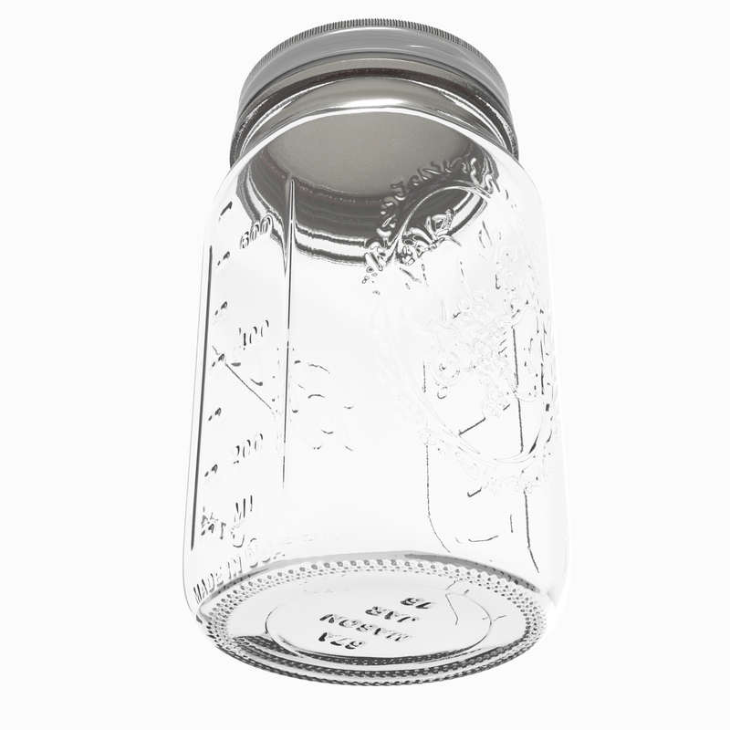 widemouth mason jar 3d model