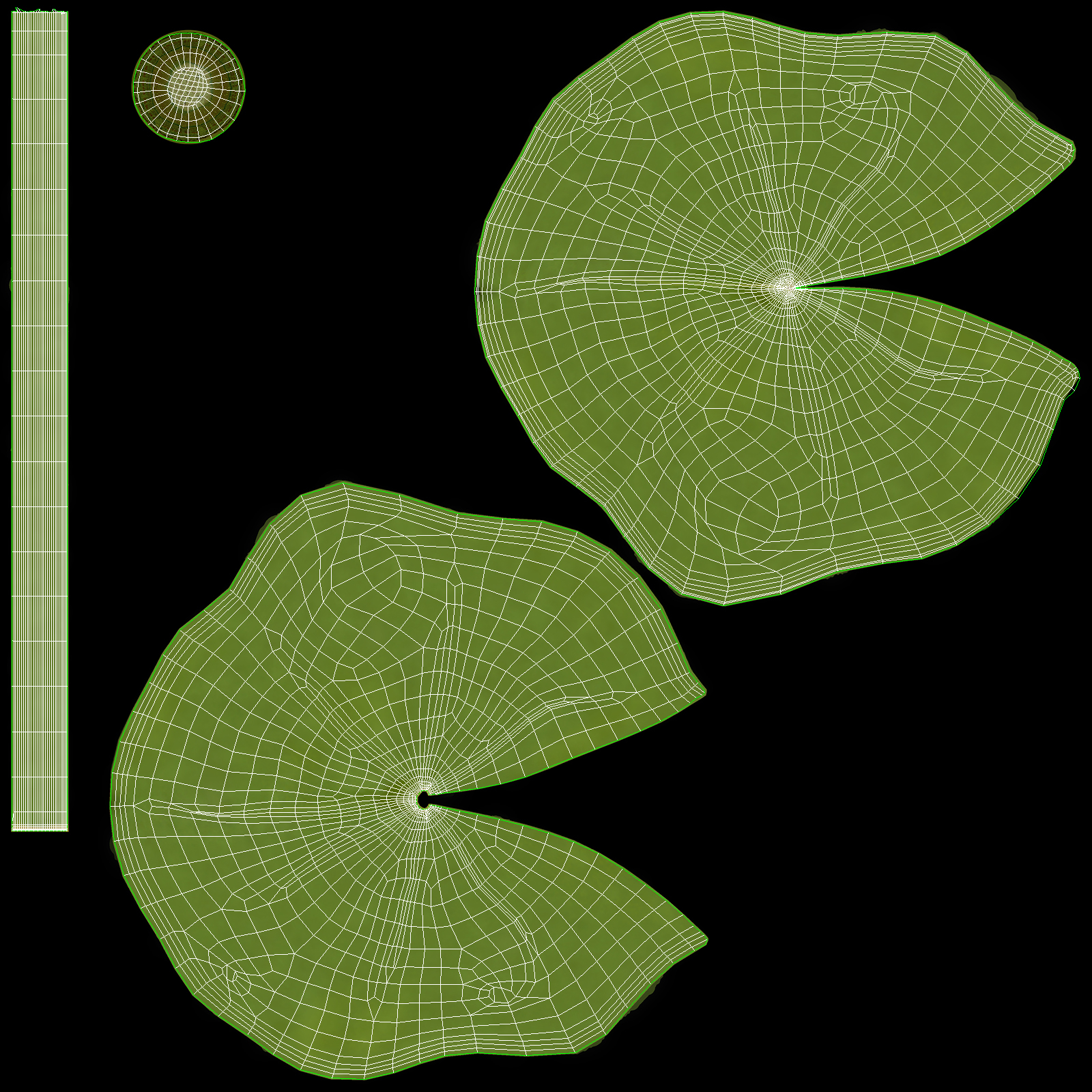 3d model water lily 04