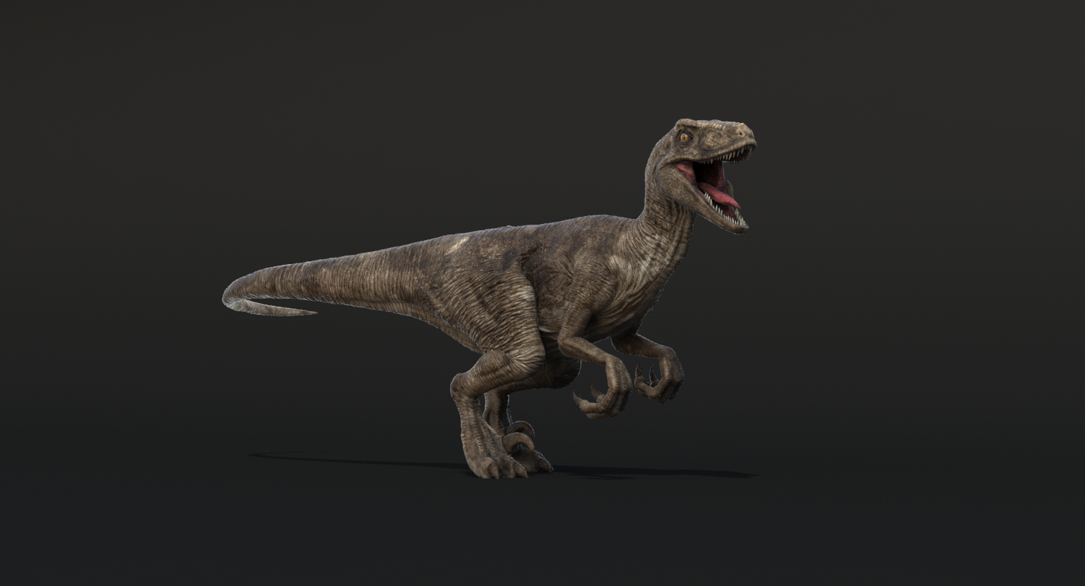 realistic velociraptor raptor animation max