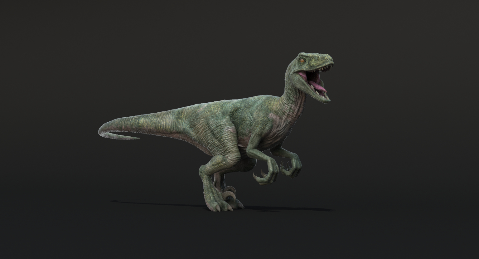 realistic velociraptor raptor animation max